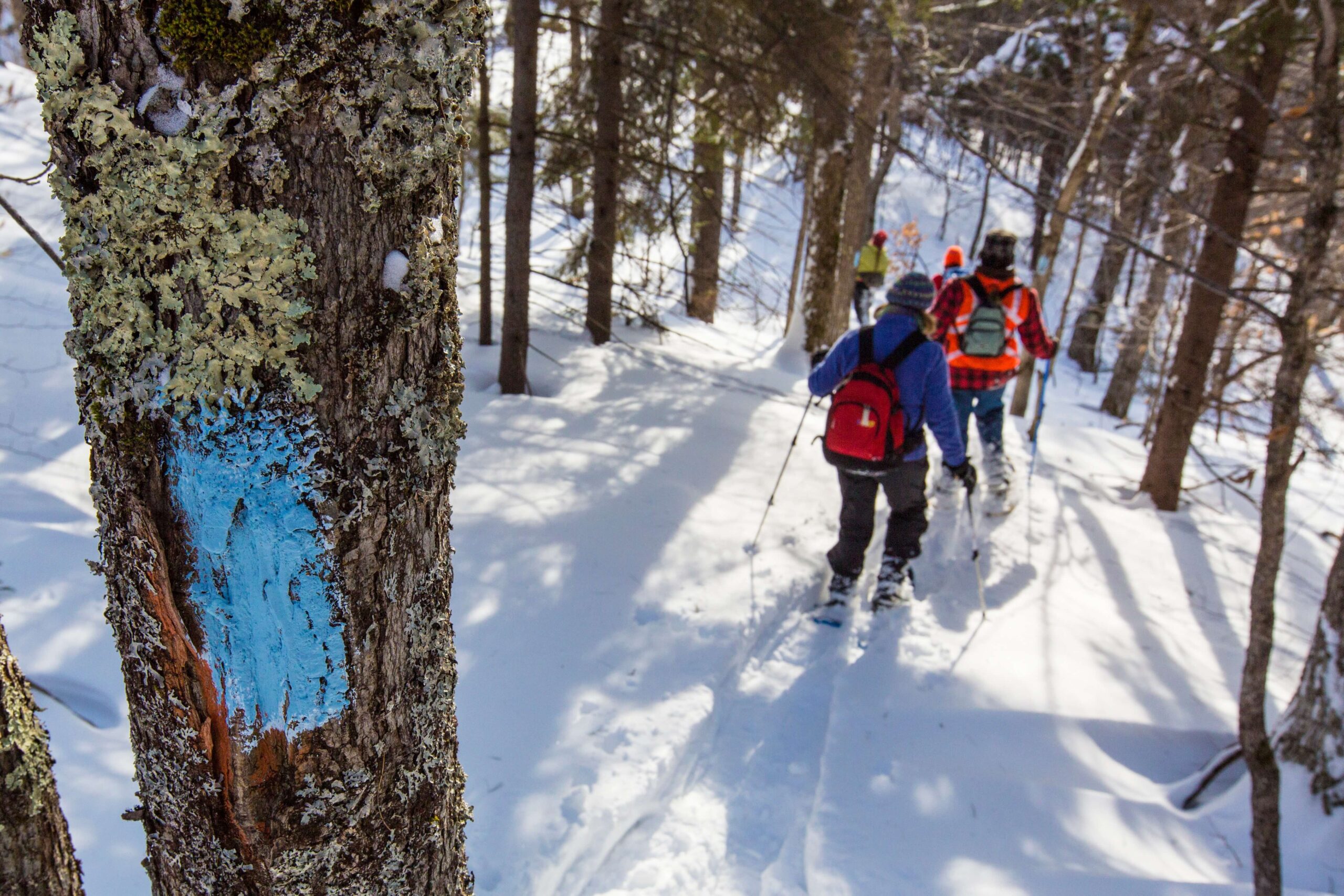 Best Ways To Experience Winter In Minnesota - Twin Springs Resort